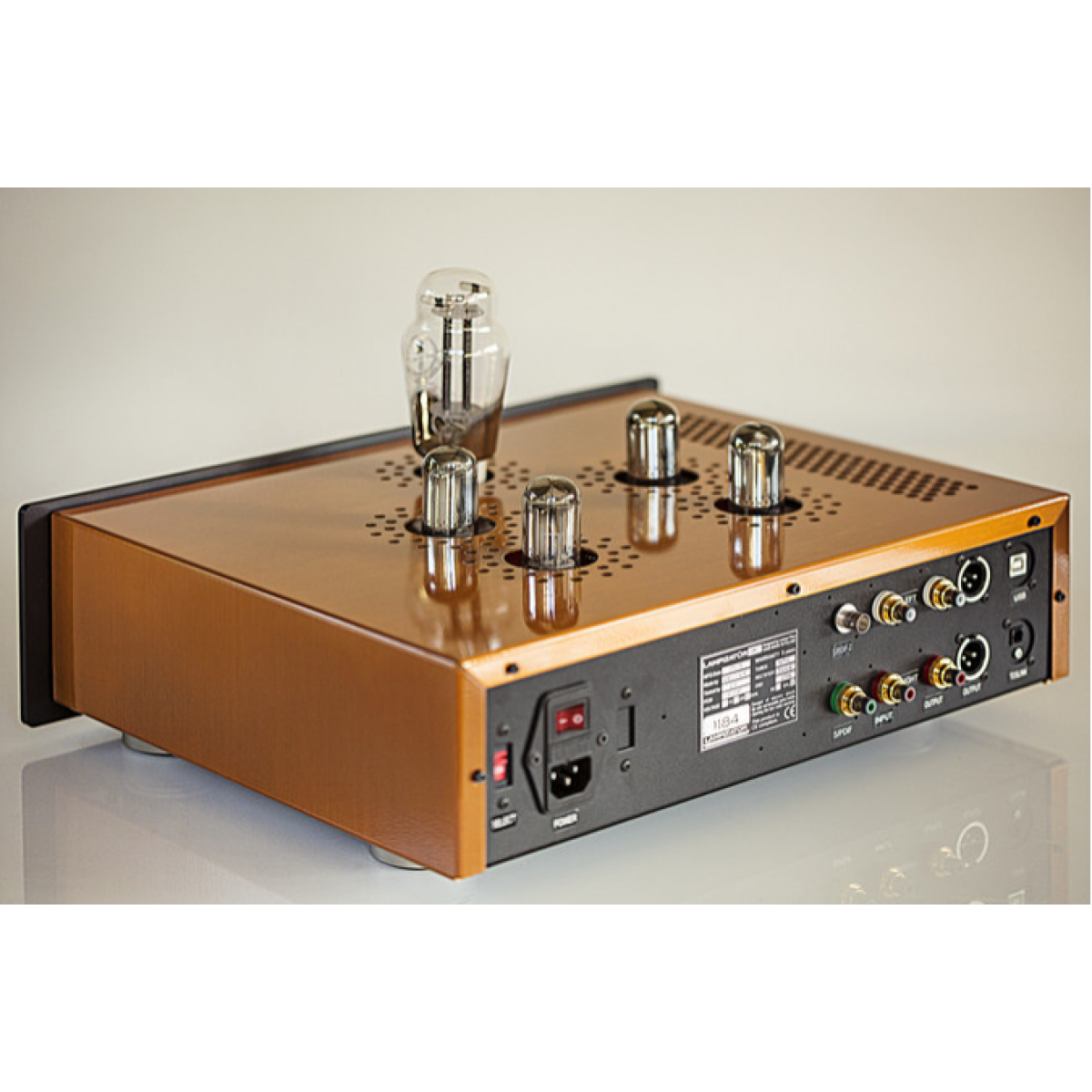 LampizatOr Golden Atlantic convertisseurs / dac chez E&M à Paris