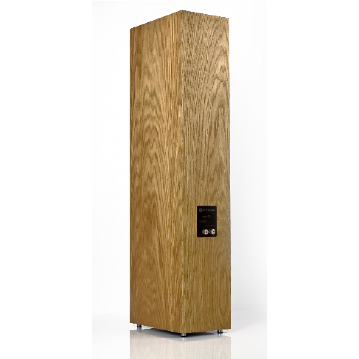 Pylon Ruby 25 mkII colonnes chez E&M à Paris